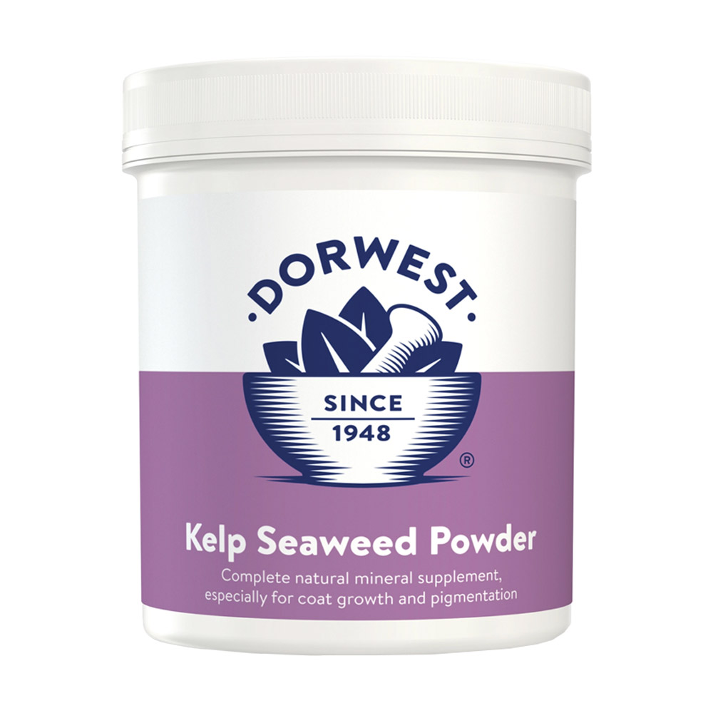 Click here for Dorwest Kelp Seaweed Powder For Dogs And Cats 250... prices